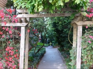 Visiter San Francisco : le guide des incontournables